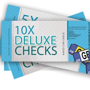 Deluxe Checks