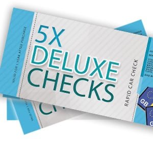 Deluxe Checks